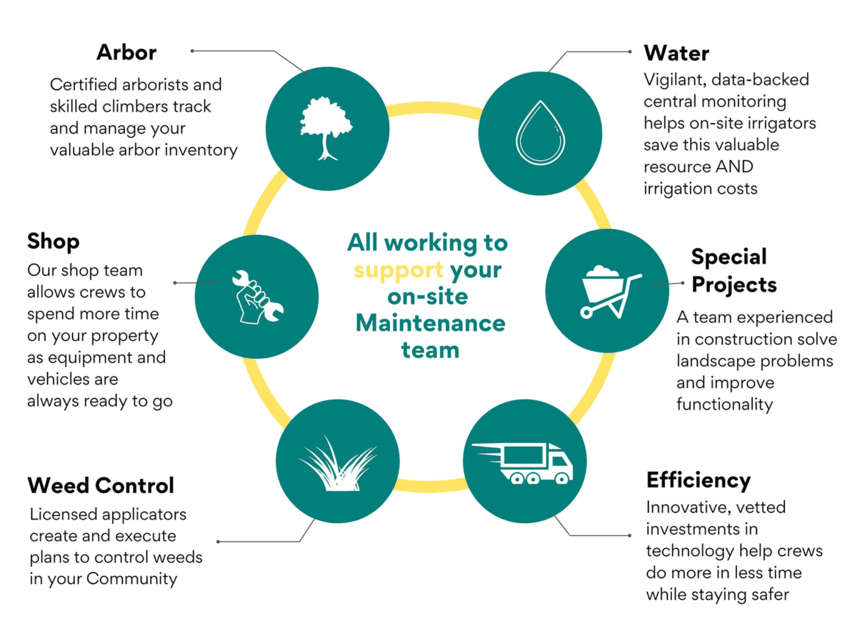 The DLC Difference - DLC Resources